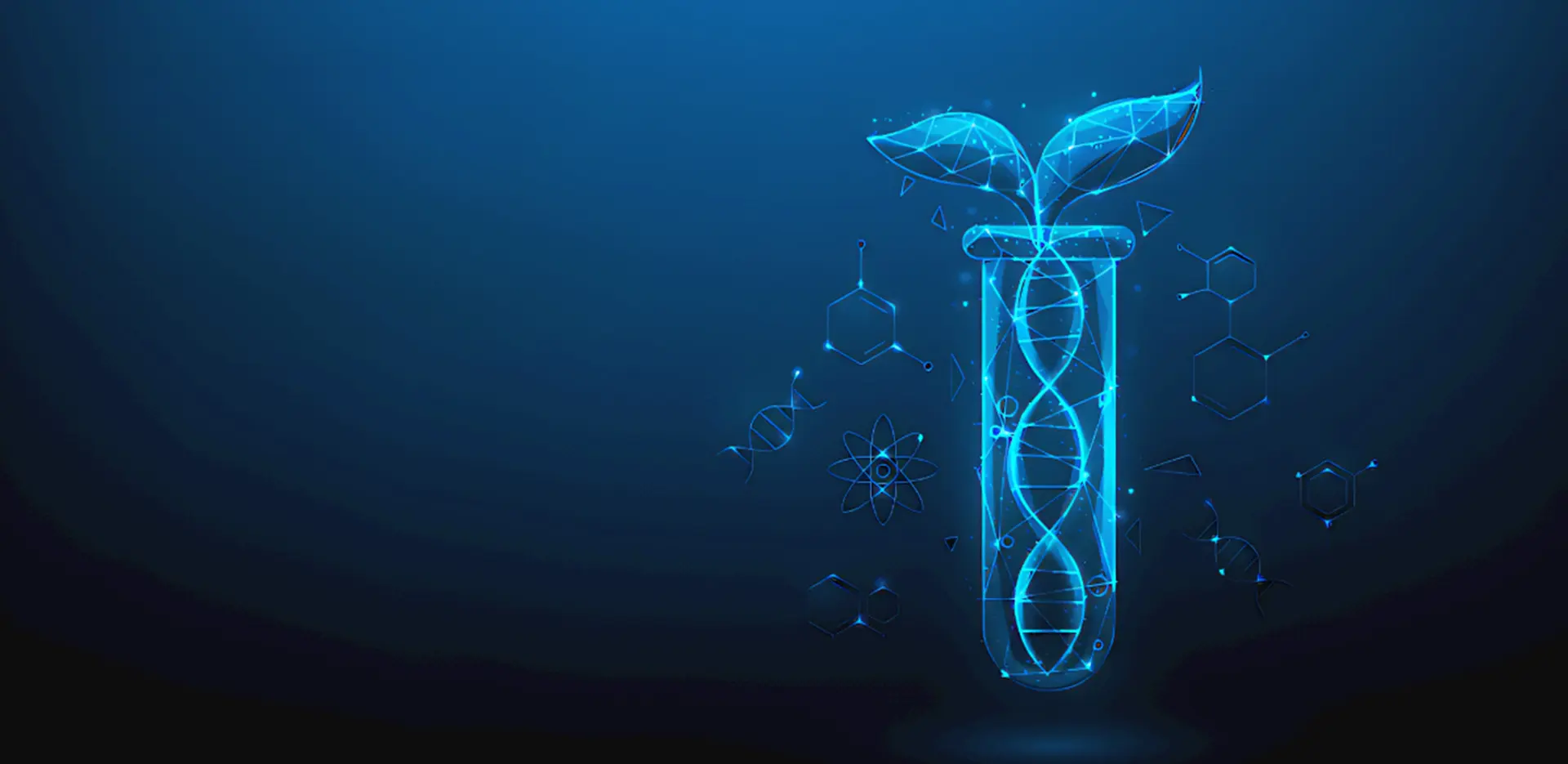 Ingia Bio: Natural Sweetener Manufacturer, Stevia Manufacturing Company