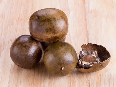 Ingia Bio: Natural Sweetener Manufacturer, Stevia Manufacturing Company